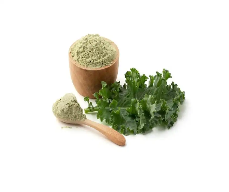 Benefits of Kale Extract for Health and Wellness - YanggeBiotech