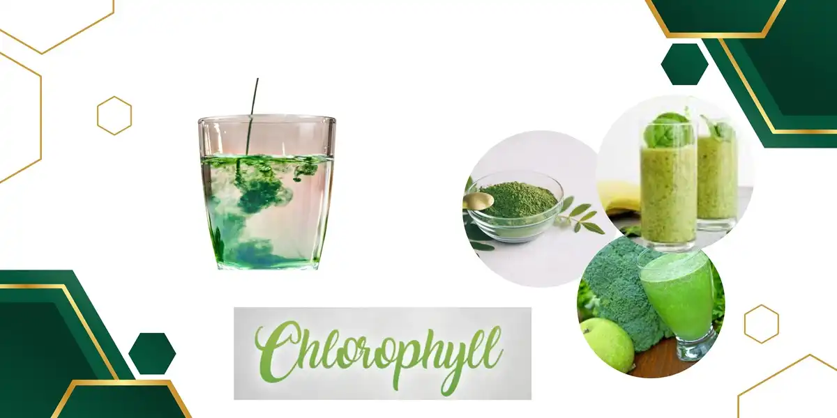 Is Chlorophyll a New Trend or a Timeless Health Solution? - YanggeBiotech