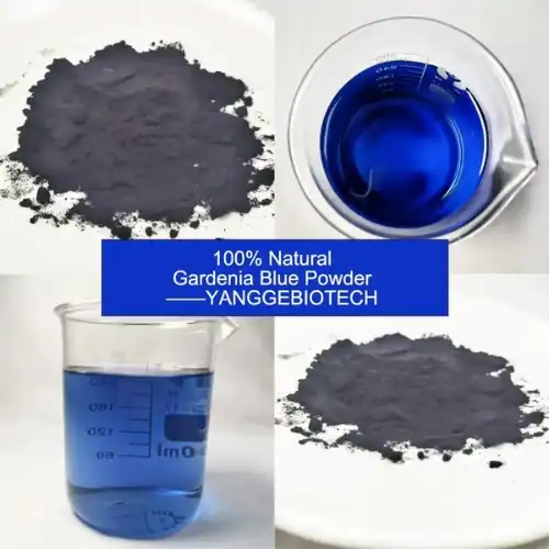 Is Gardenia Blue Pigment Safe for Food and Cosmetics? - YanggeBiotech