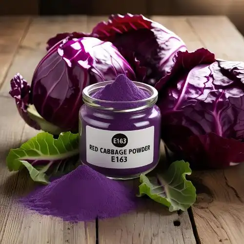 How Red Cabbage Powder E163 Enhances Food and Beverages? - YanggeBiotech