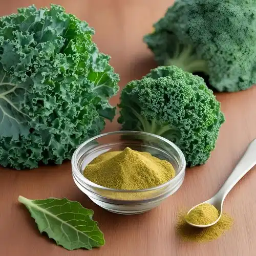 How Kale Extract Reduces Inflammation and Boosts Wellness? - YanggeBiotech