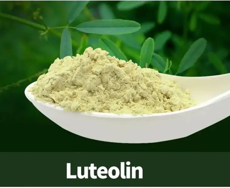Luteolin: A Natural Solution for Skin Health - YanggeBiotech