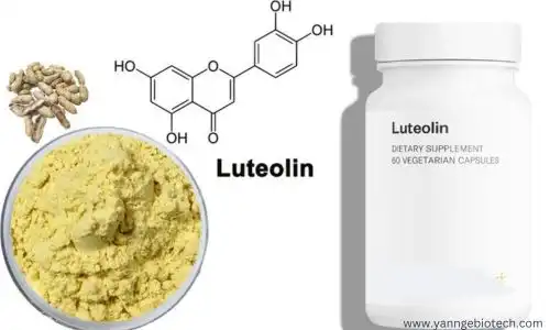 The Science Behind Luteolin and Its Health Benefits - YanggeBiotech