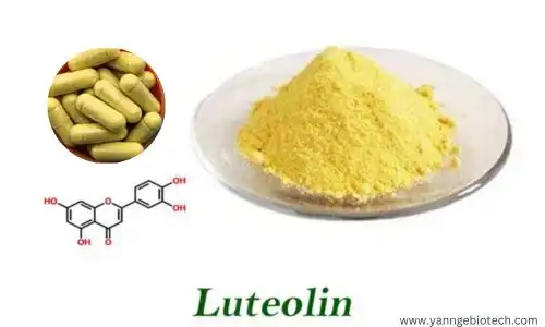 Luteolin: A Powerful Compound for Heart Health - YanggeBiotech