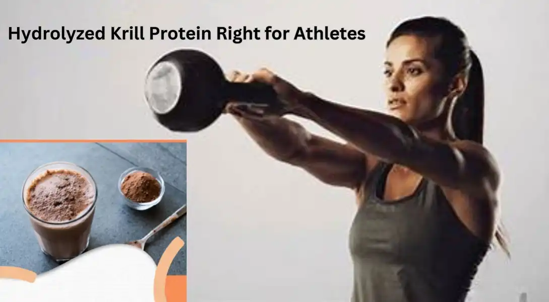 Is Hydrolyzed Krill Protein Right for Athletes? - YanggeBiotech